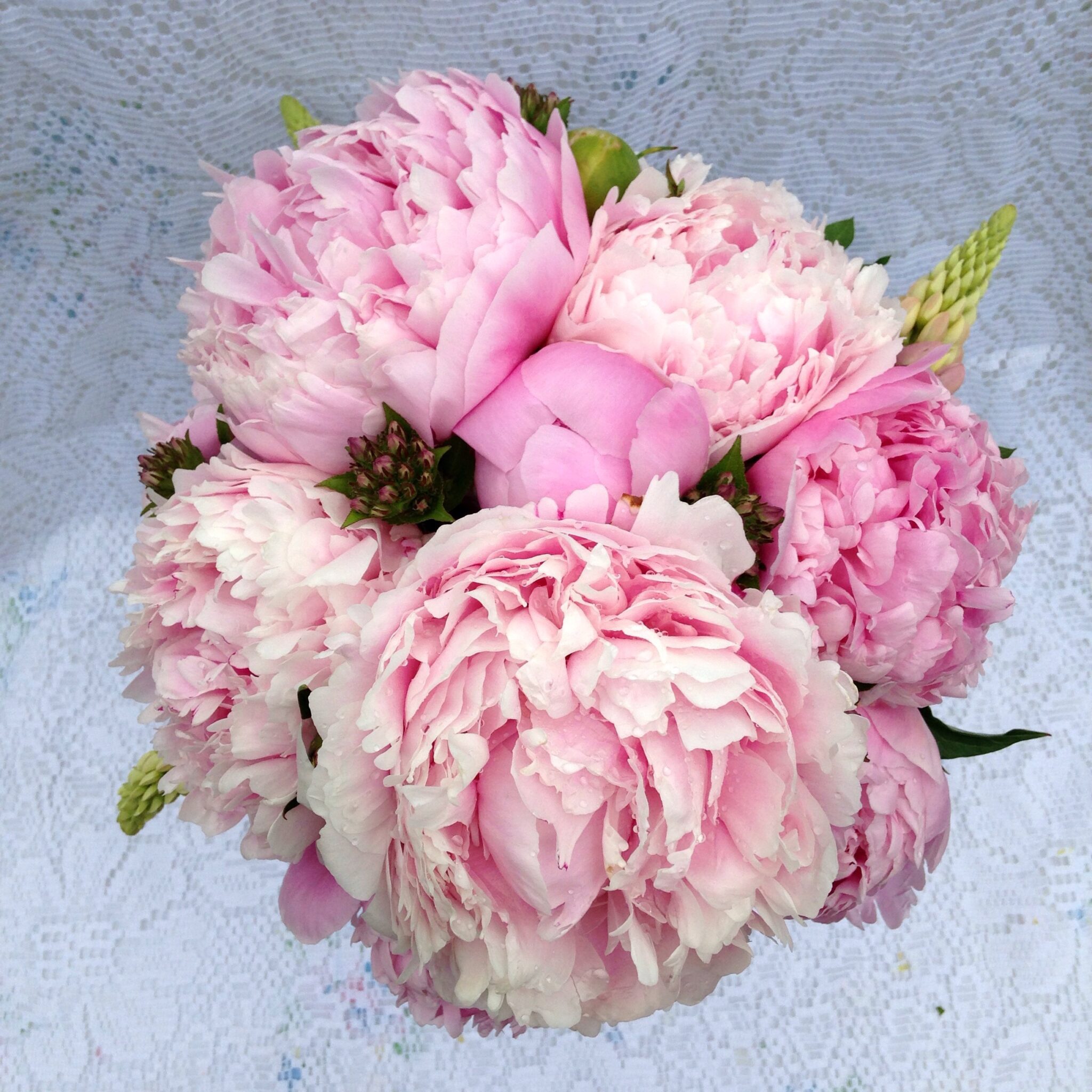 DIY Bridal Flowers for Practically Free! | Shifting Roots