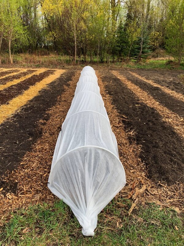 How to Build Row Covers (and Protect Your Cruciferous Vegetables ...